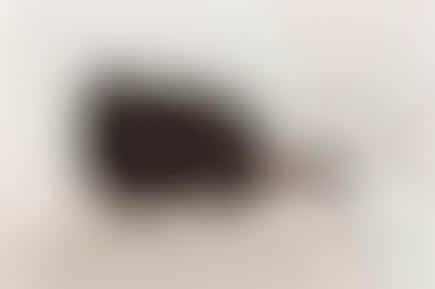 Hairy Human Sculptures : Fred Laforge