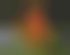 Veggie Sith Lords : Carrot Darth Vader