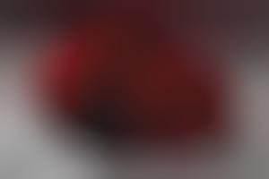 Bloody Organ Baking : Bleeding Heart Cake