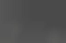 Fragile Floral Lighting : Tangle Globe Pendant Light