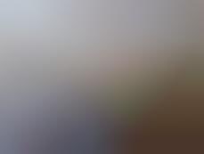 Contemporary Chic Tea Rooms : The Gourme Tea