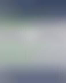 To-Go Commerce Charts : Mobile Banking on the Run Infographic