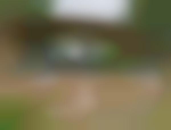 Summer Camp Athletic Facilities : Milson Island Sports Stadium