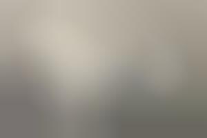 Social Upheavel Collages : Nils Karsten Portfolio