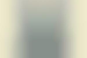 Doe-Eyed Doll Illustrations : Danielle Reck