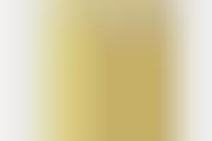 Midas Touch Flash Drives : Gold Ingot USB