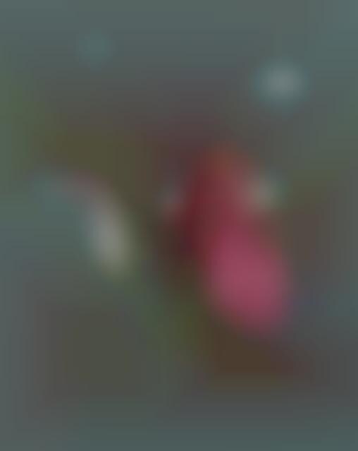 100 Sassy Super Mario Finds