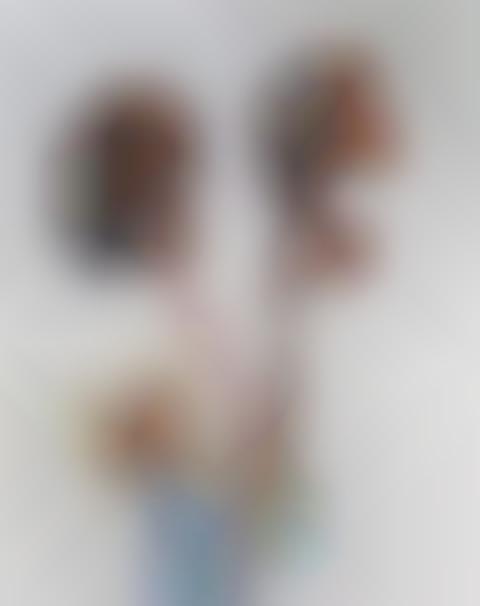 Wasteful Food Illustrations : Till Rabus