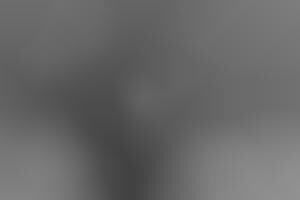 Alarmingly Real City Captures : Chris Beale