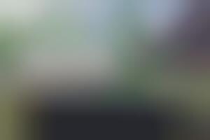 Evil Genius Vehicles : BrainCar