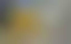 Giant Bunny Sculptures : Big Yellow Rabbit