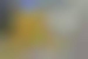 Giant Bunny Sculptures : Big Yellow Rabbit