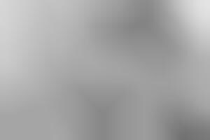 Zany Cartoon Art : Coby Walsh