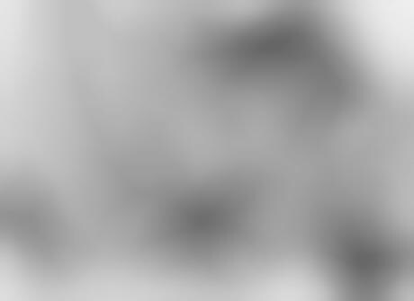 Zany Cartoon Art : Coby Walsh