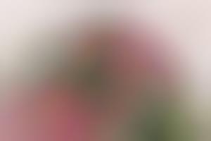 Modernized Classic Covers : Penguin Ink UK Redesign