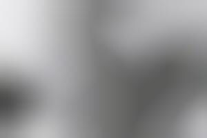 Iconic Chameleon Models : Transformers W Magazine