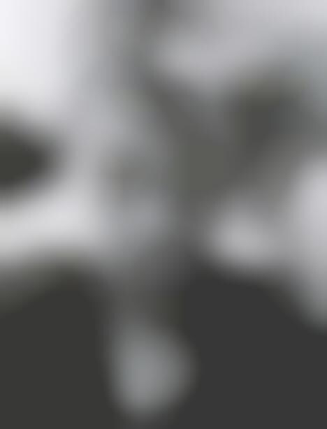 Iconic Chameleon Models : Transformers W Magazine