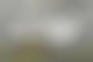 Mini-City Studios : FS2 office design