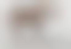 Stick Steed Sculptures (UPDATE) : Deborah Butterfield