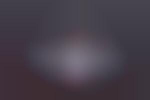 Soul-Searching Solace Photography : Julie Calbert