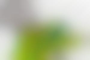 Adorably Awkward Graphics : Clay Culver