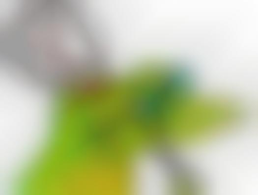 Adorably Awkward Graphics : Clay Culver