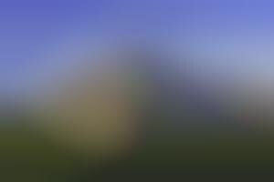 Alluring Chameleon Abodes : Codina House