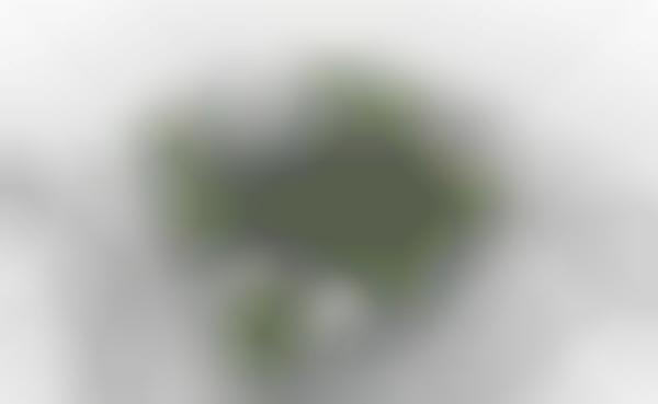 Bubble-Inspired Buildings : Liquid Building