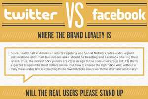 Social Media Site Demographics : Facebook VS Twitter Infographic