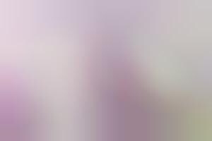 Ingenue Beauty Photography : makeup and hair