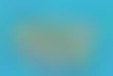 Cross-Country Food Giveaways : All You Can Eat Tour