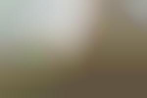 Outdoor Bath Robes : Winnifred Beach Sport-Utility Bathrobe