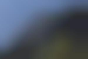 Charcoal Cliffside Abodes : Nettleton 195 house