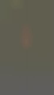 Campfire Treat Charts : science of smores infographic