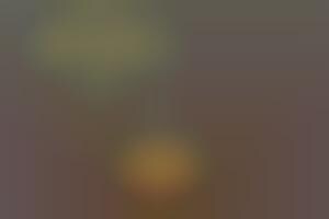 Campfire Treat Charts : science of smores infographic