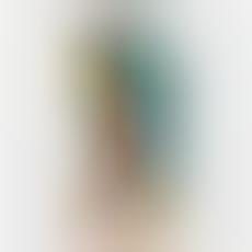 Lucite Home Necessities : Cec LePage