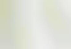 Minimalist Velcro Wristwatches : Gummy Watch