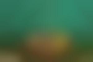 Colorful Luxury Captures : Photography of Aaron Ruell