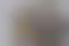 Paper Cameras : Jennifer Collier