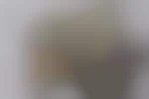 Paper Cameras : Jennifer Collier