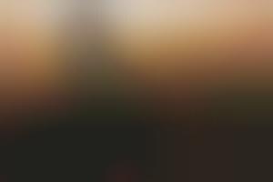 Amorous Amish-Inspired Shoots : Erin Axtell Flair Italy