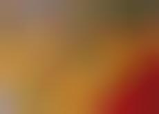 Reclaimed Courtside Desks : Origin Workstation