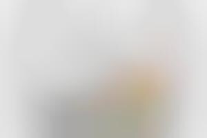 Mountainous Fishy Habitats : Fishcape Fishbowl