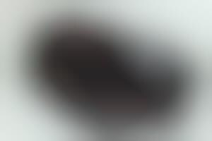 Street Squad Shoes : Air Max 1 England Rugby