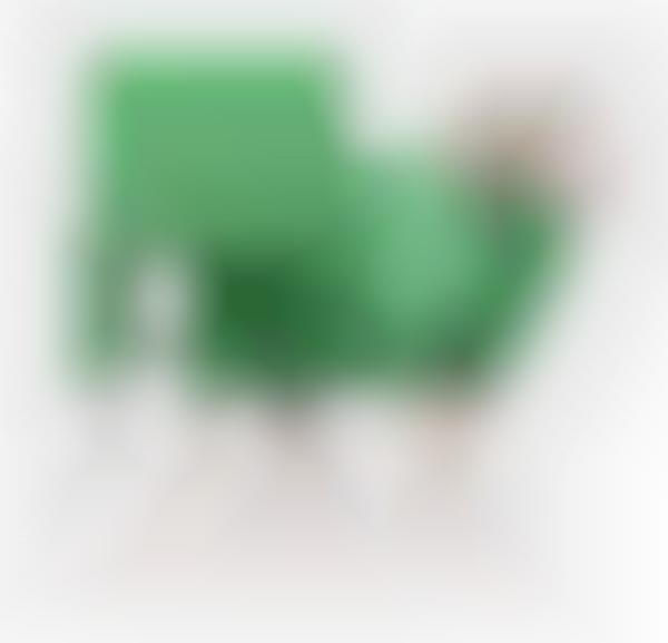 50 Pieces of Animal-Inspired Furniture