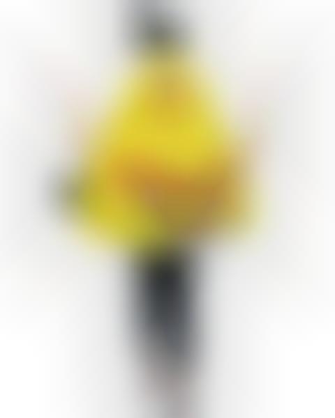 92 Angry Bird Innovations