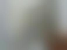 Protruding Paper Art : Elod Beregszaszi 'Popupology'