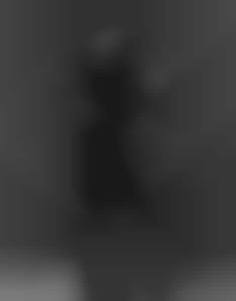 Poised Polka Dot Captures : Erin Fee in Fashion Gone Rogue