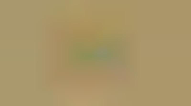 85 Radical Record Breakers