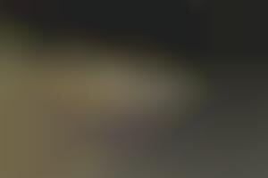 Sleek Helix Bike Racks : Bicicleta 180